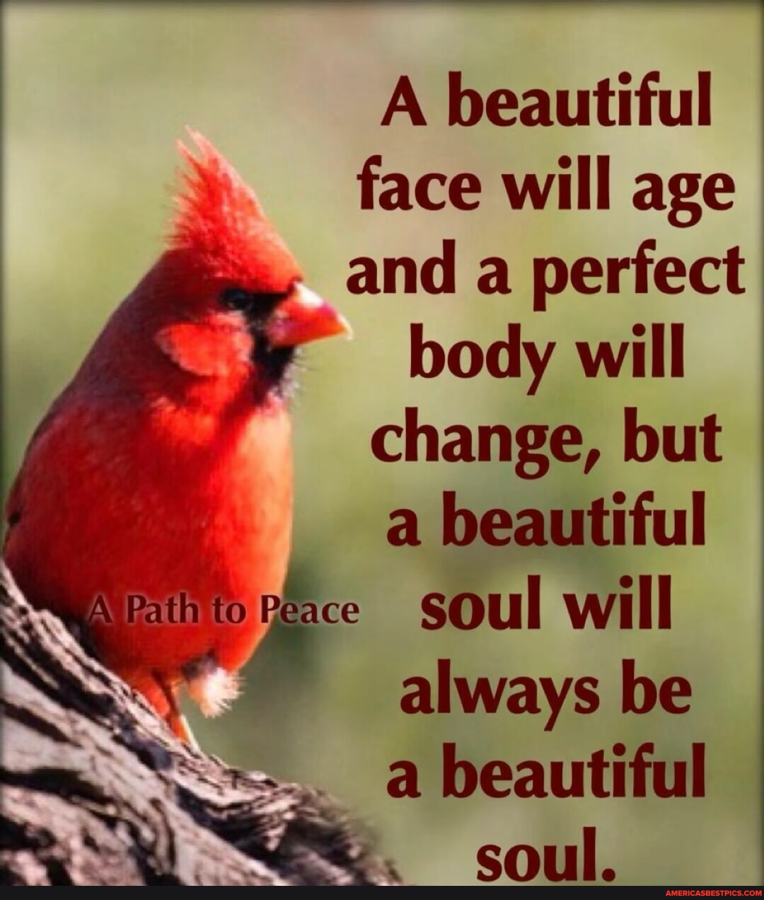 A beautiful I face will age and a perfect body will change, but a ...