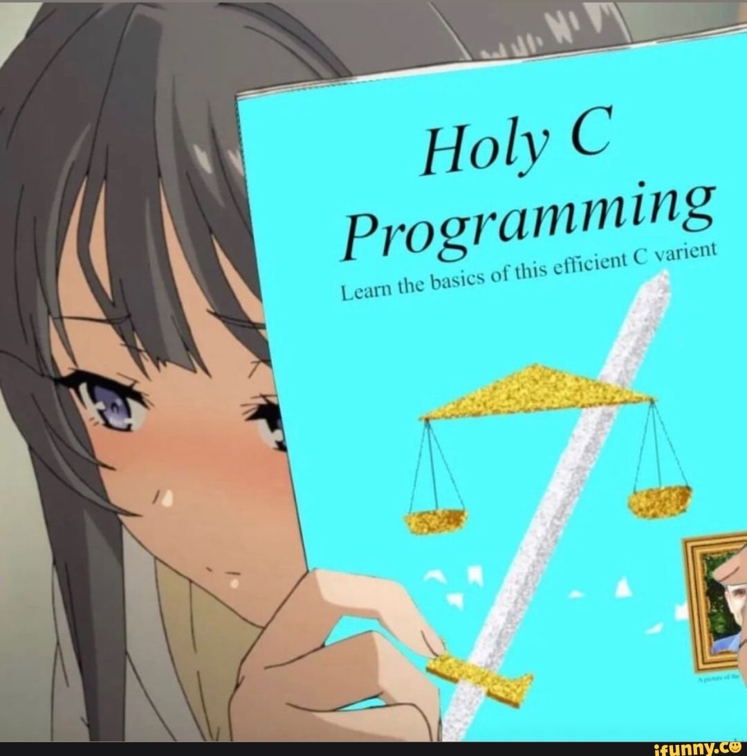 Holy Programming Leann the pasies of ghis varient - iFunny