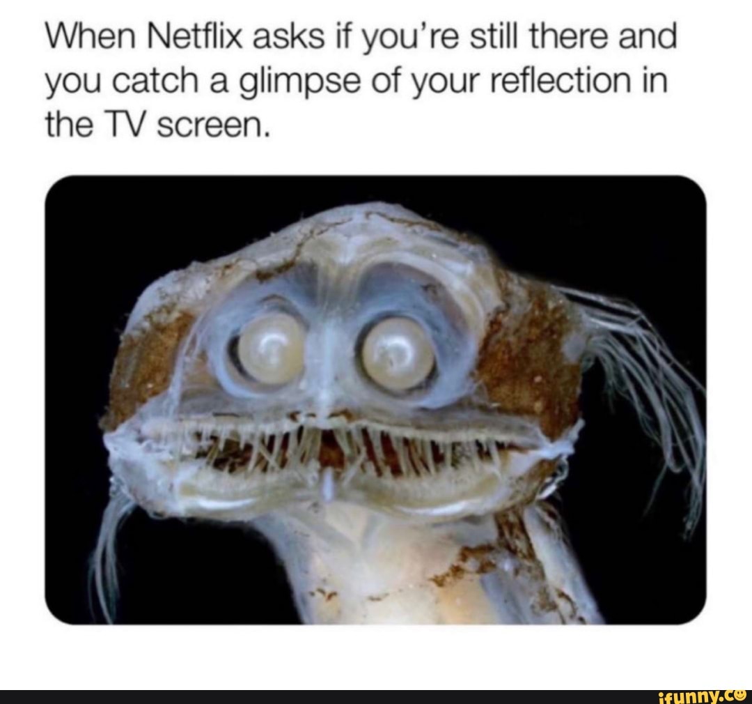 Reactionphoto memes. Best Collection of funny Reactionphoto pictures on ...