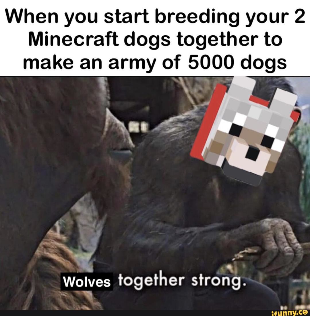 When you start breeding your 2 Minecraft dogs together to make an army ...