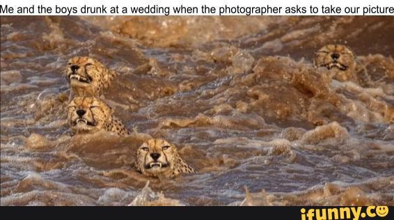 Pictut memes. Best Collection of funny Pictut pictures on iFunny