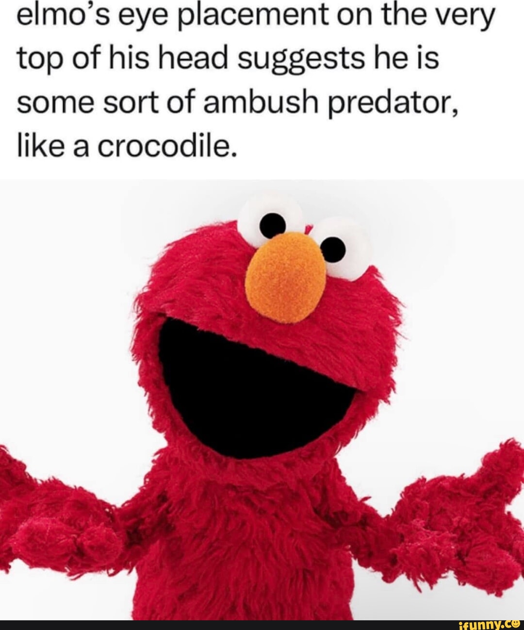 Elmo's eye placement on the very top of his head suggests he is some ...
