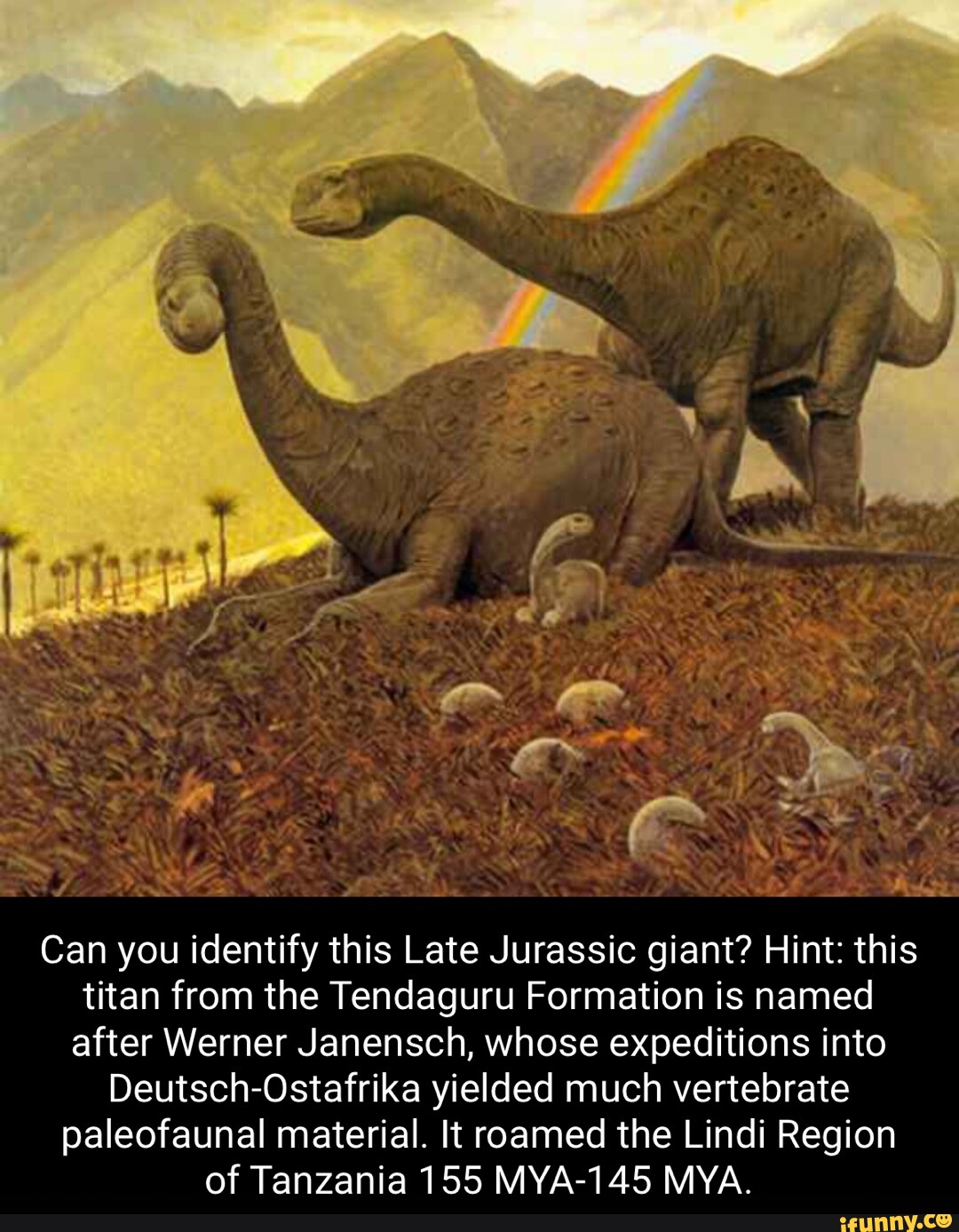 Tendaguru: Revival Des Dinosaurierhügels – FDOMF