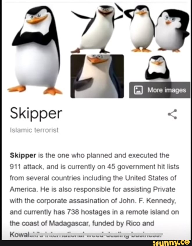 Skipper memes. Best Collection of funny Skipper pictures on iFunny