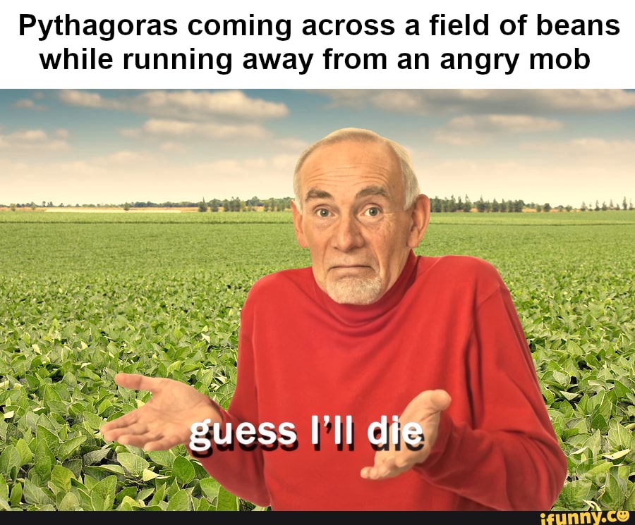 Pythagoras coming across a field of beans while running away from an ...