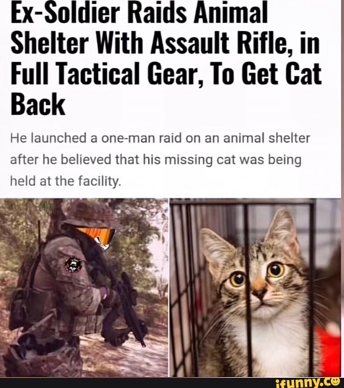 Die Raids Animal Shelter With Assault Rifle, in Full Tactical Gear, To ...