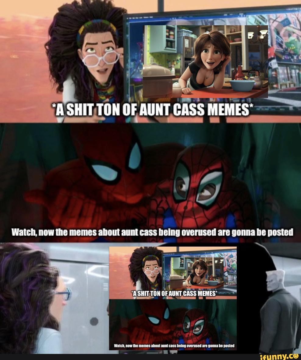 SHIT TON OF AUNT CASS Watch, now the memes about aunt cass being ...