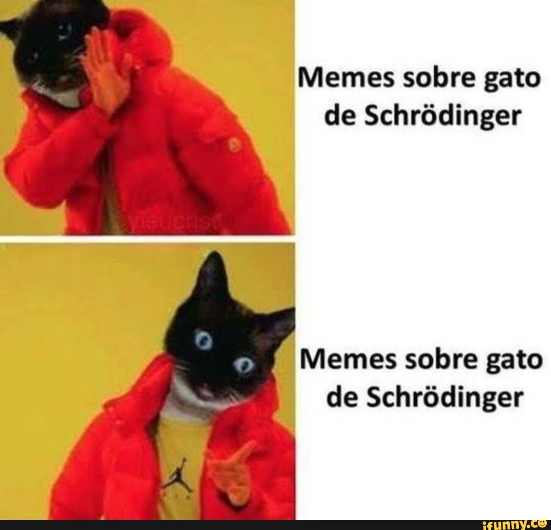 Gato De Schrödinger Meme - GITEDU