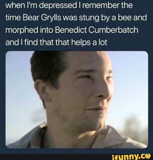 When I'm depressed I remember the time Bear Grylls was stung by a bee ...
