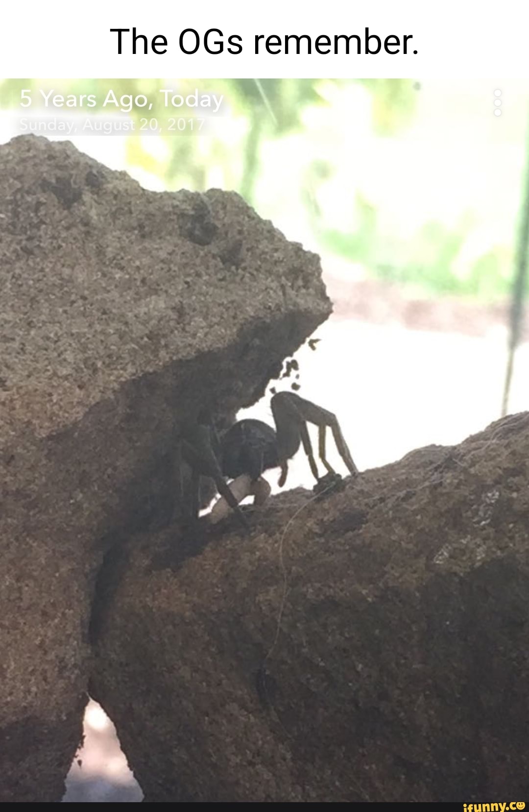 The OGs remember. YYears Ago, Today ~3 20, - iFunny