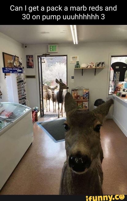 Can I get a pack a marb reds and 30 on pump uuuhhhhhh 3 - iFunny