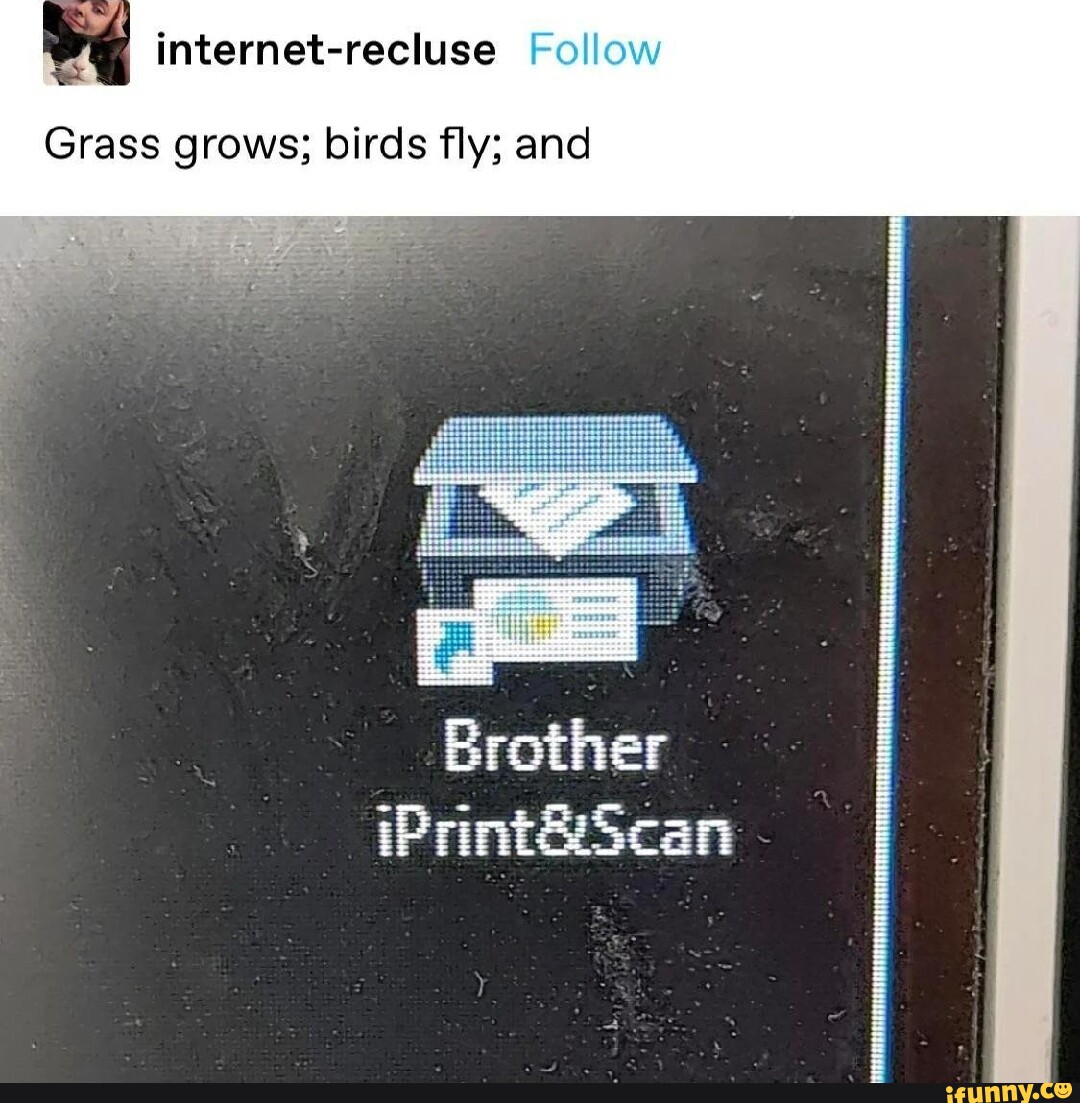 Grass grows; birds fly; and Brother - iFunny