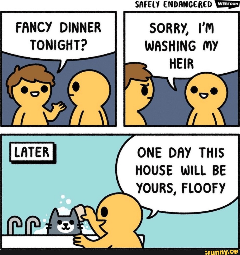 FANCY DINNER TONIGHT? SAFELY ENDANGERED SORRY, WASHING my HEIR ONE DAY ...