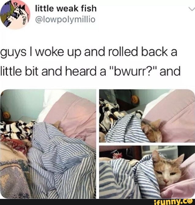 Little weak fish @lowpolymillio guys I woke up and rolled back a little ...