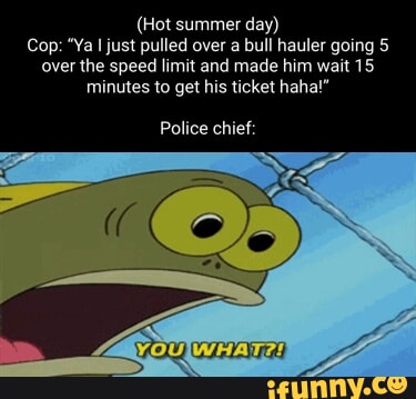 Hauler memes. Best Collection of funny Hauler pictures on iFunny