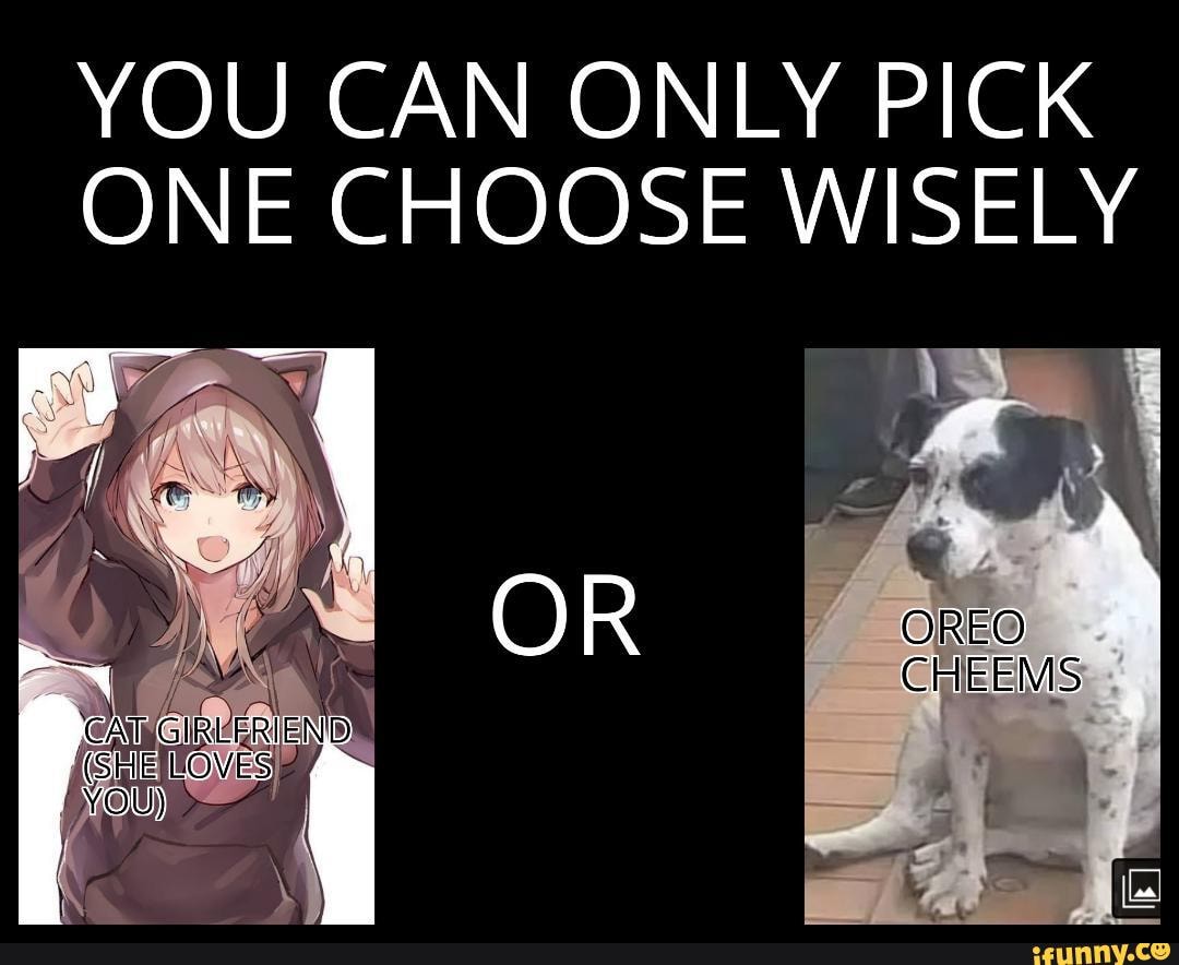 YOU CAN ONLY PICK ONE CHOOSE WISELY OR OREO CHEEMS - iFunny