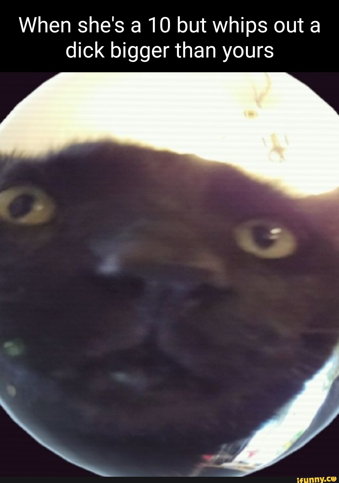 When she's a 10 but whips out a dick bigger than yours - iFunny