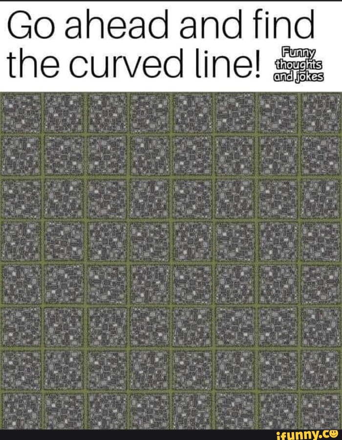 Go ahead and find the curved line! - iFunny