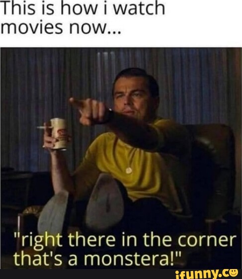 Monstera memes. Best Collection of funny Monstera pictures on iFunny