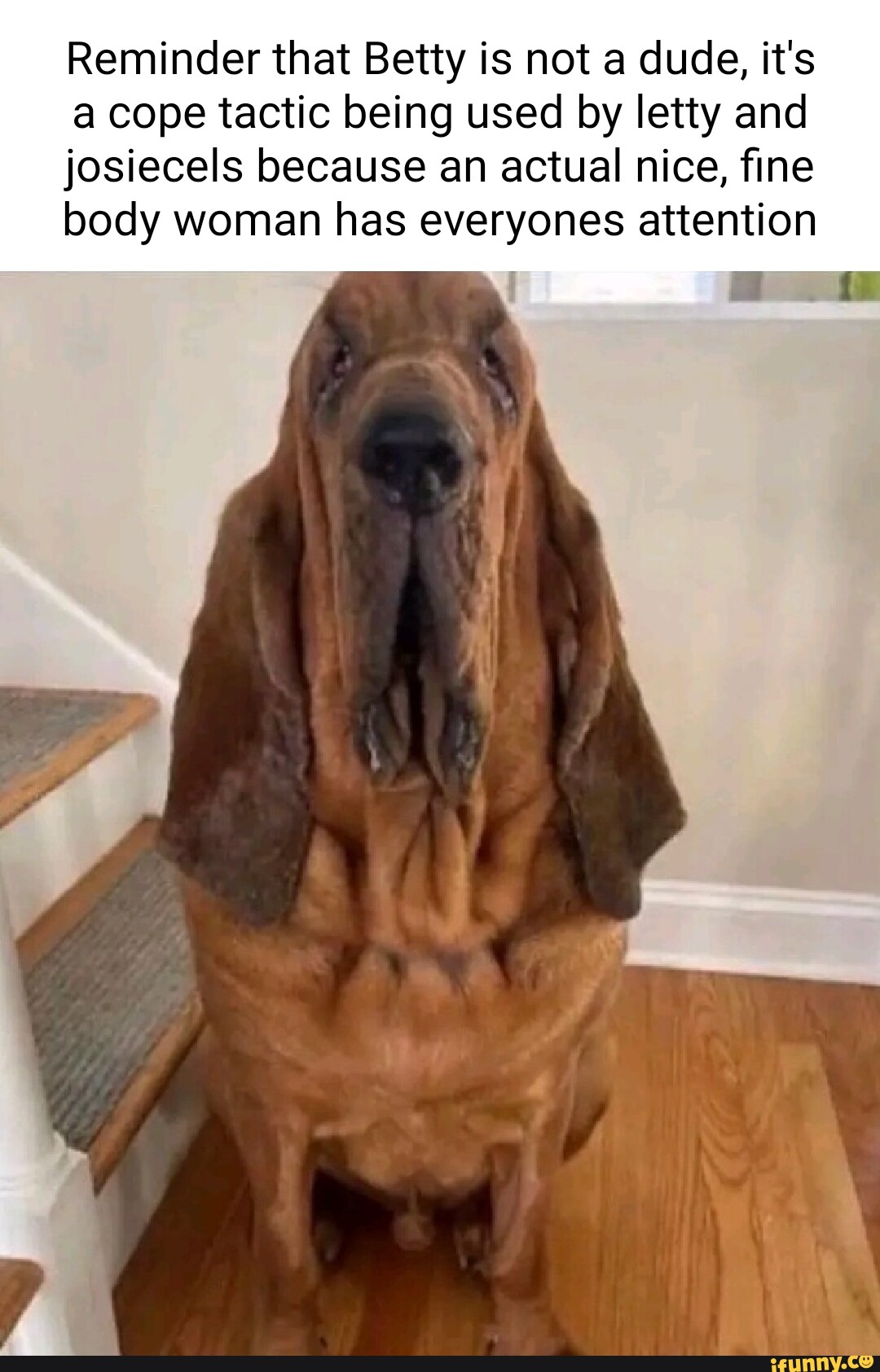 Josiecels memes. Best Collection of funny Josiecels pictures on iFunny