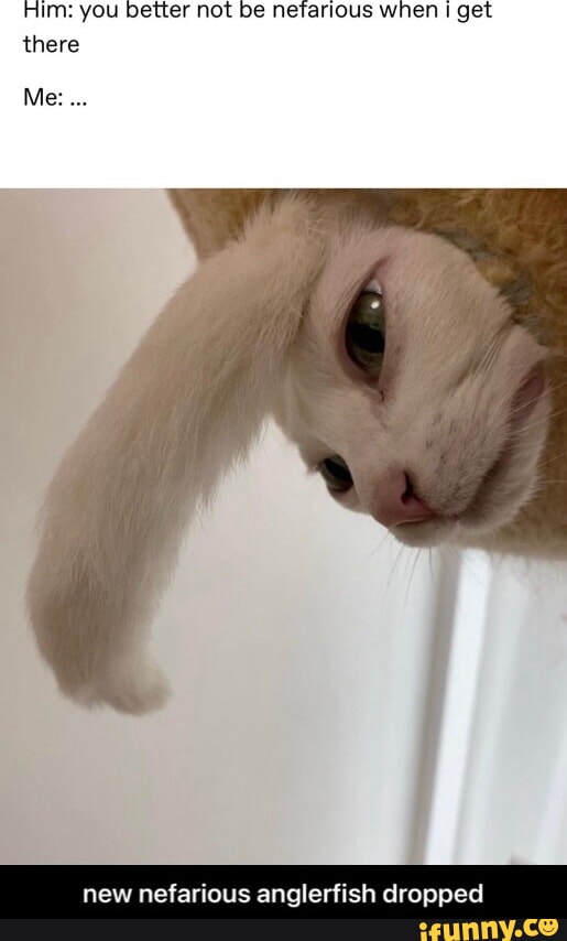 Nefarious memes. Best Collection of funny Nefarious pictures on iFunny