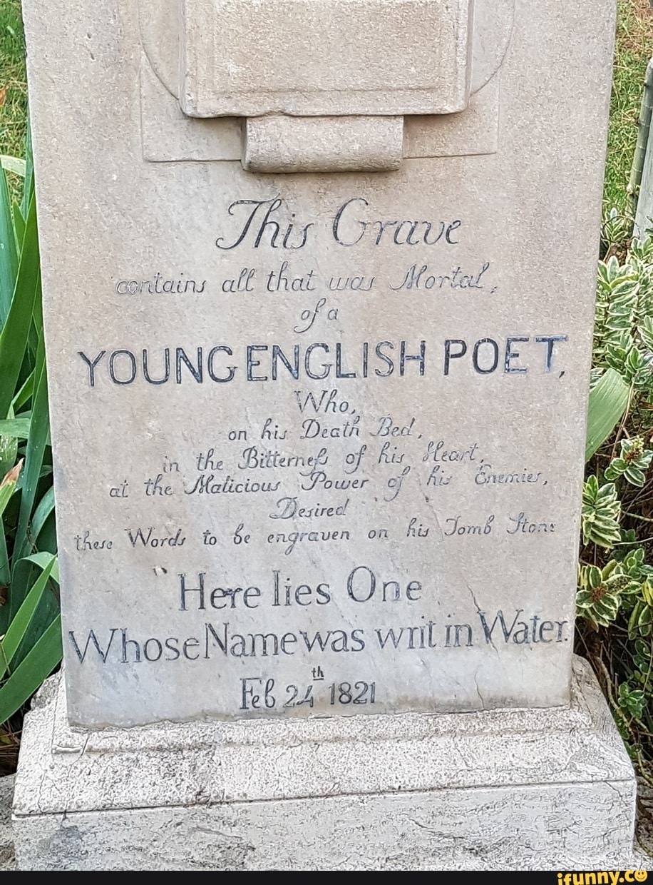 Mewas memes. Best Collection of funny Mewas pictures on iFunny