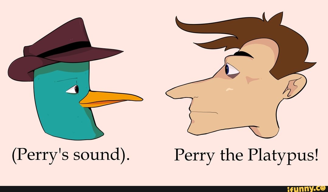 (Perry's sound). Perry the Platypus! - iFunny