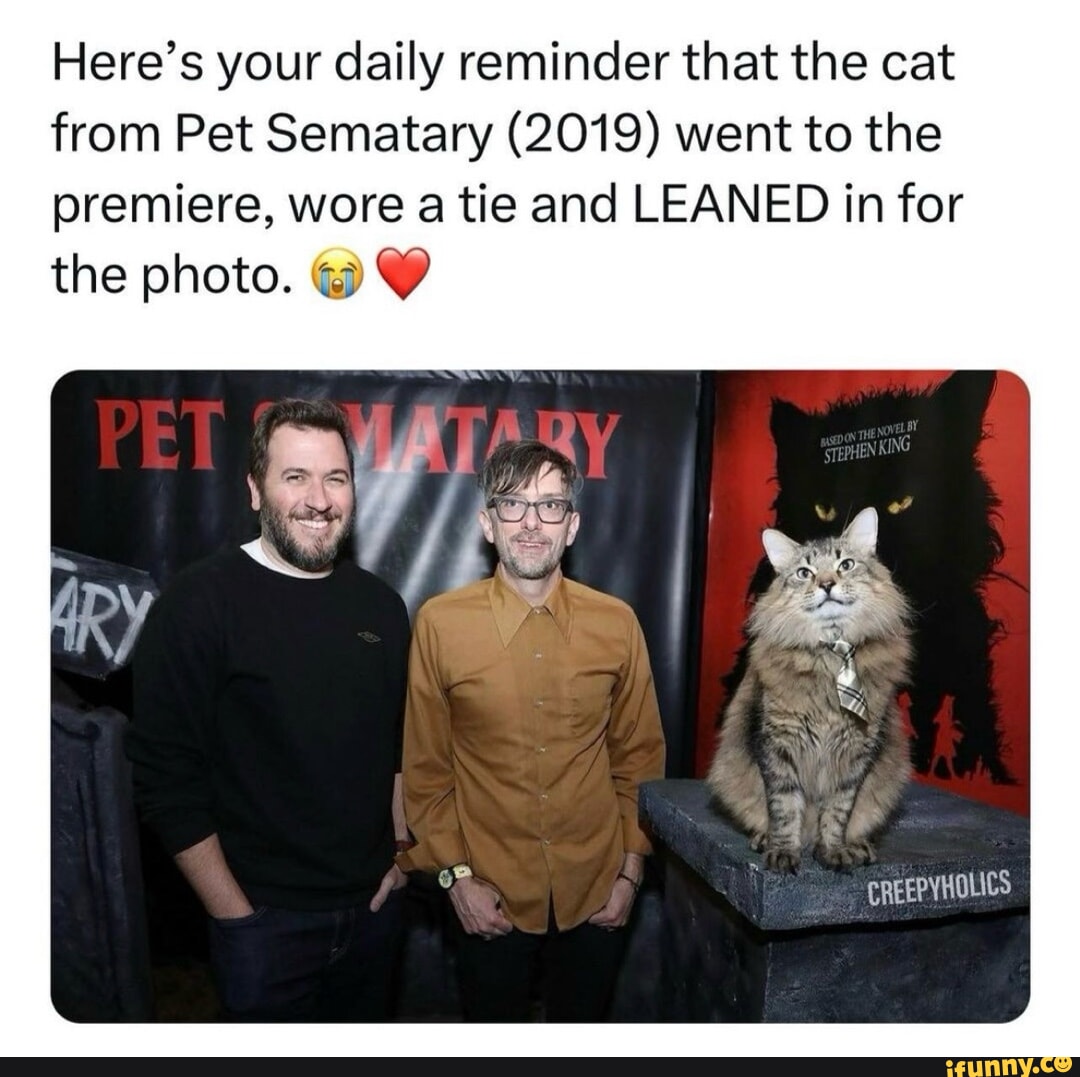 Here's your daily reminder that the cat from Pet Sematary (2019) went ...
