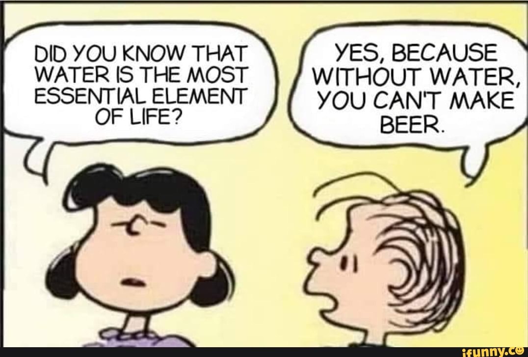 DID YOU KNOW THAT WATER IS THE MOST ESSENTIAL ELEMENT OF LIFE YES 