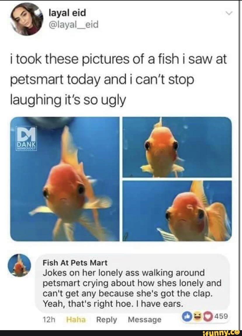Layal eid @layal_eid i took these pictures of a fish i saw at petsmart ...