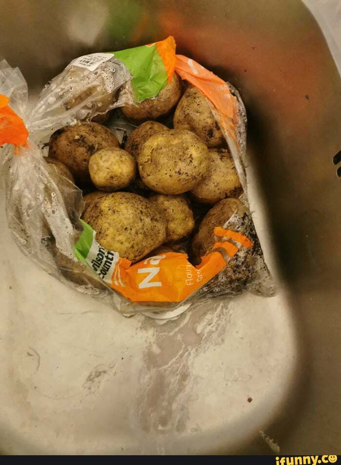 Spuds memes. Best Collection of funny Spuds pictures on iFunny