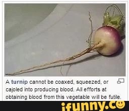 A turnip cannot be coaxed, squeezed, or 5] cajoled into producing blood ...