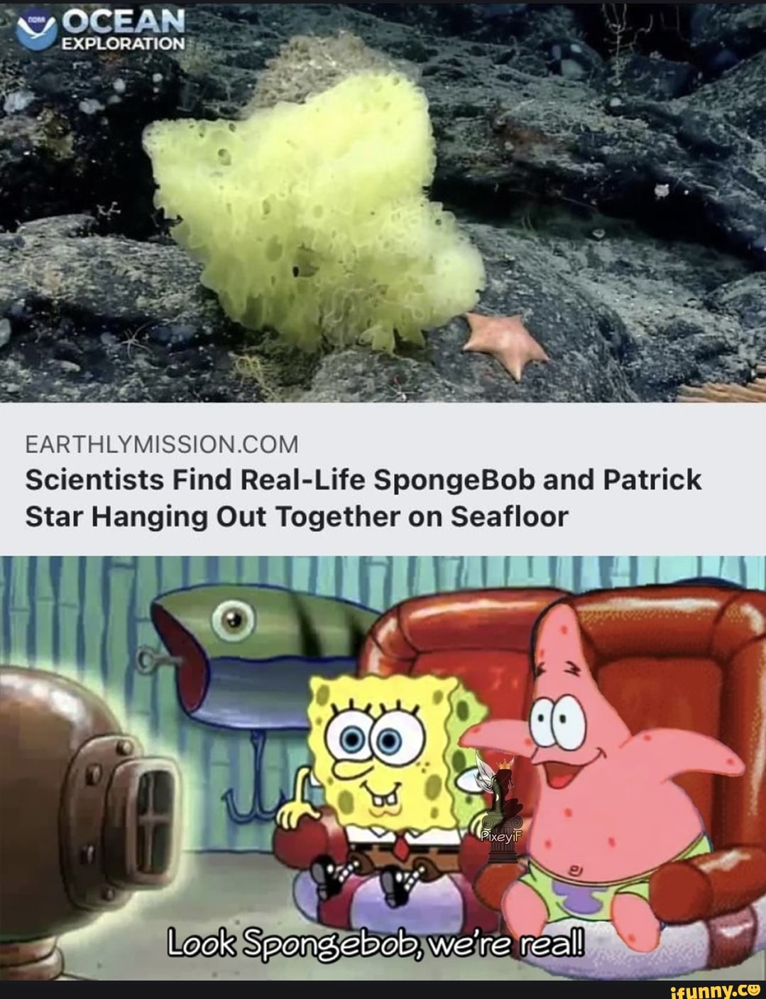 OCEAN EXPLORATIONS Scientists Find Real-Life SpongeBob and Patrick ...