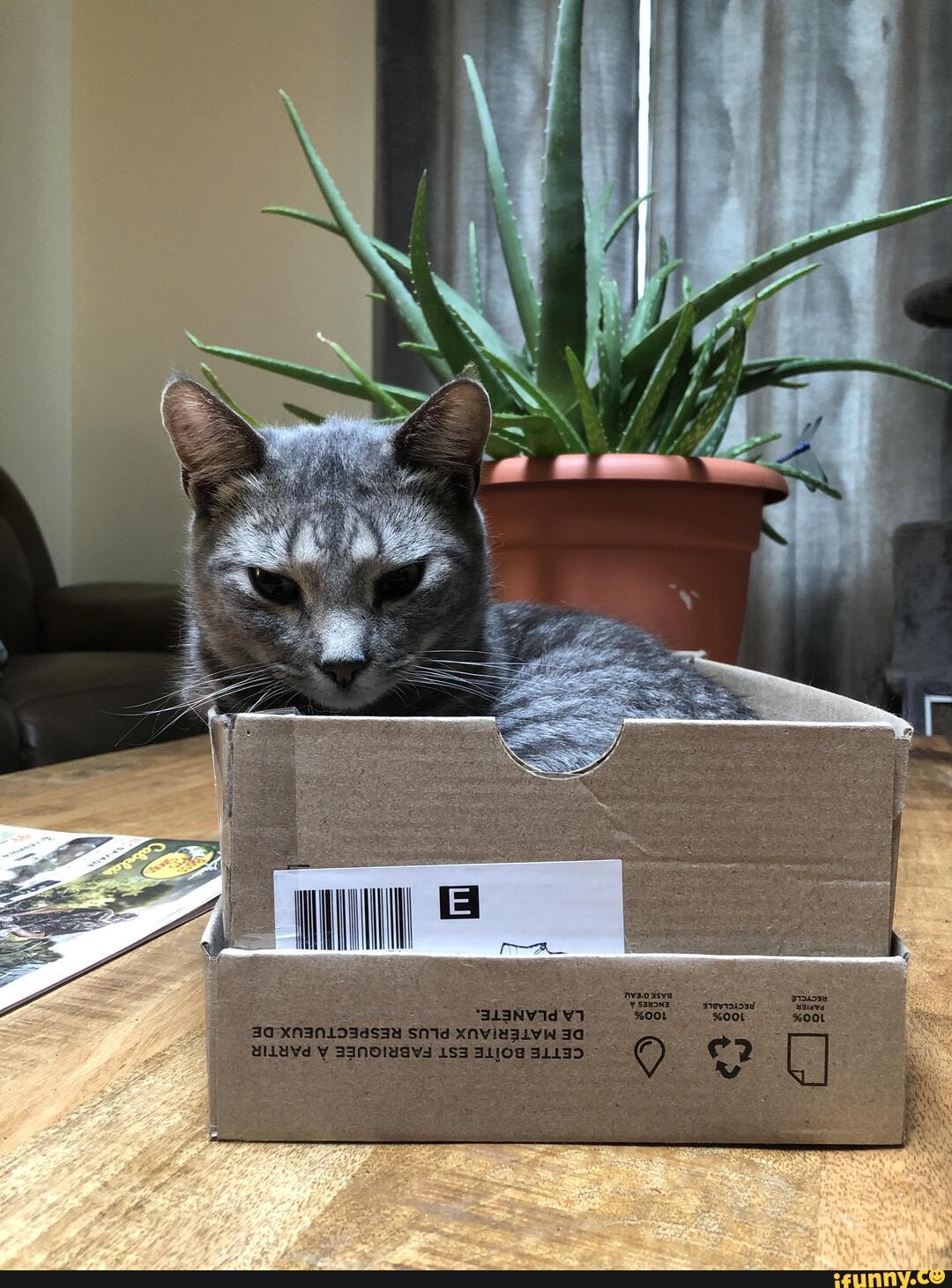 Shoebox memes. Best Collection of funny Shoebox pictures on iFunny