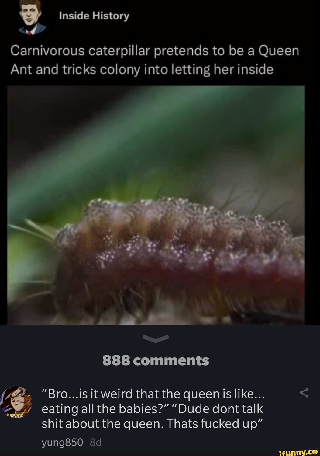 70 comments VORE VORE VORE VORE consume the mushroom MystiqueAntoinette ...