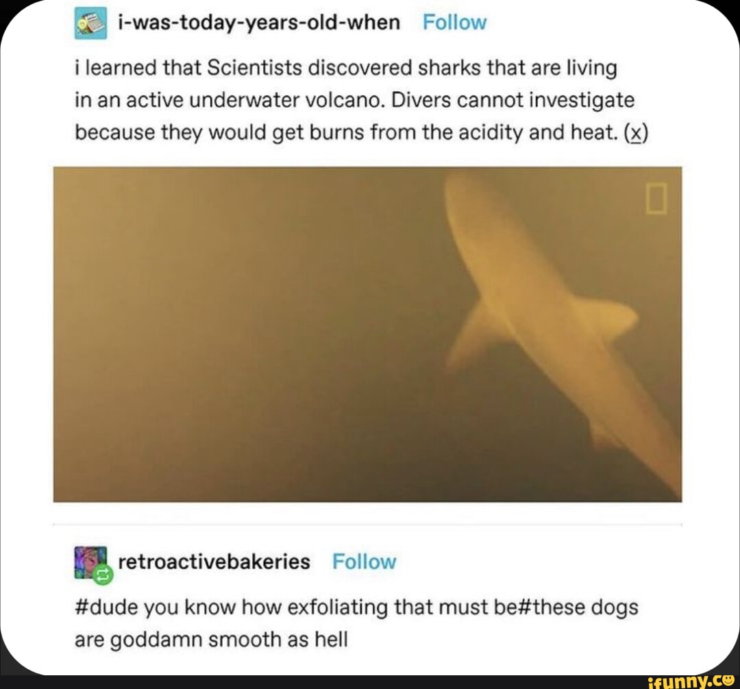 Volcano memes. Best Collection of funny Volcano pictures on iFunny