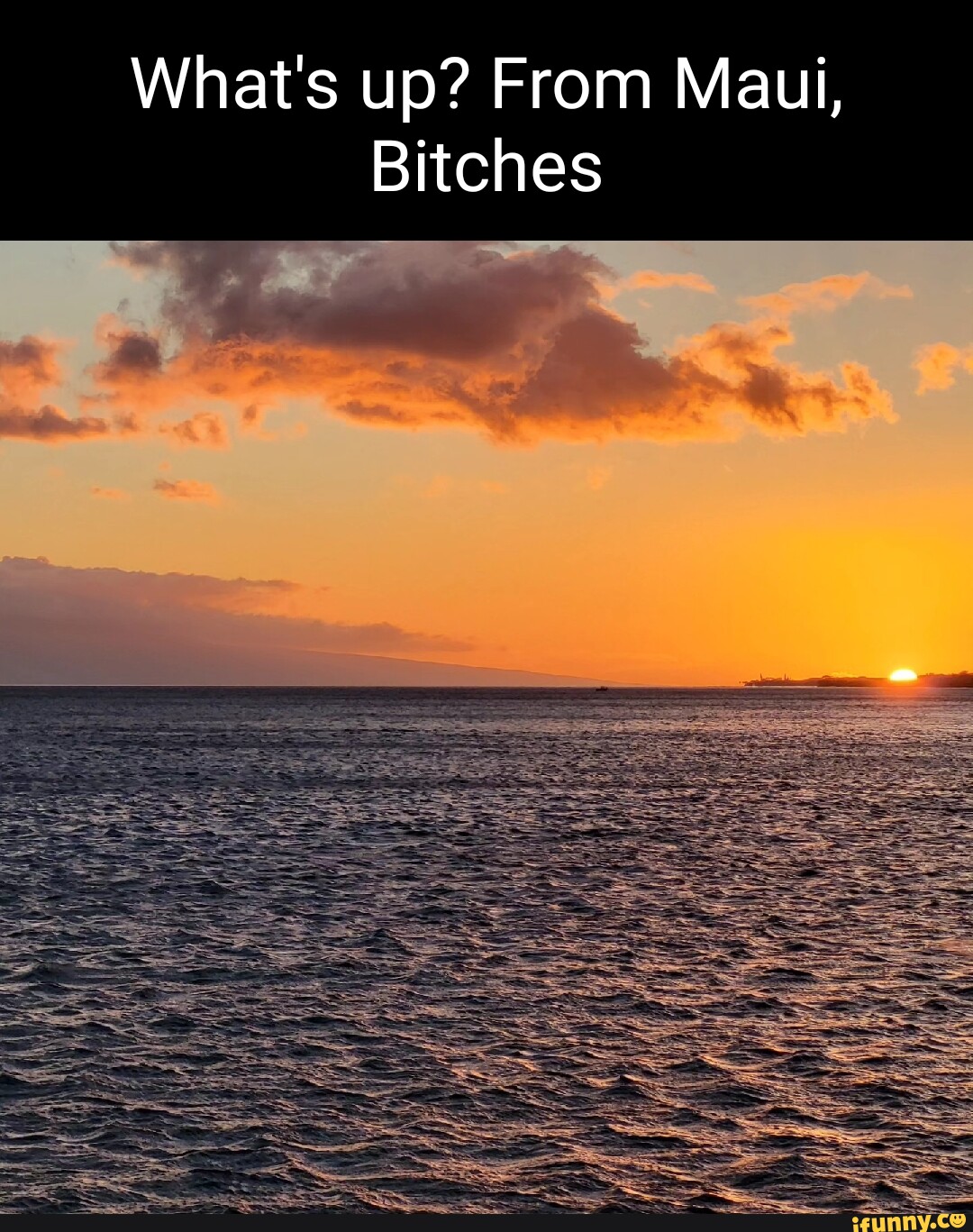 Maui memes. Best Collection of funny Maui pictures on iFunny