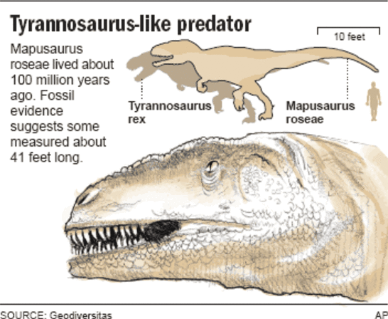 Tyrannosaurus-like predator - Mapusaurus roseae lived about 100 million ...