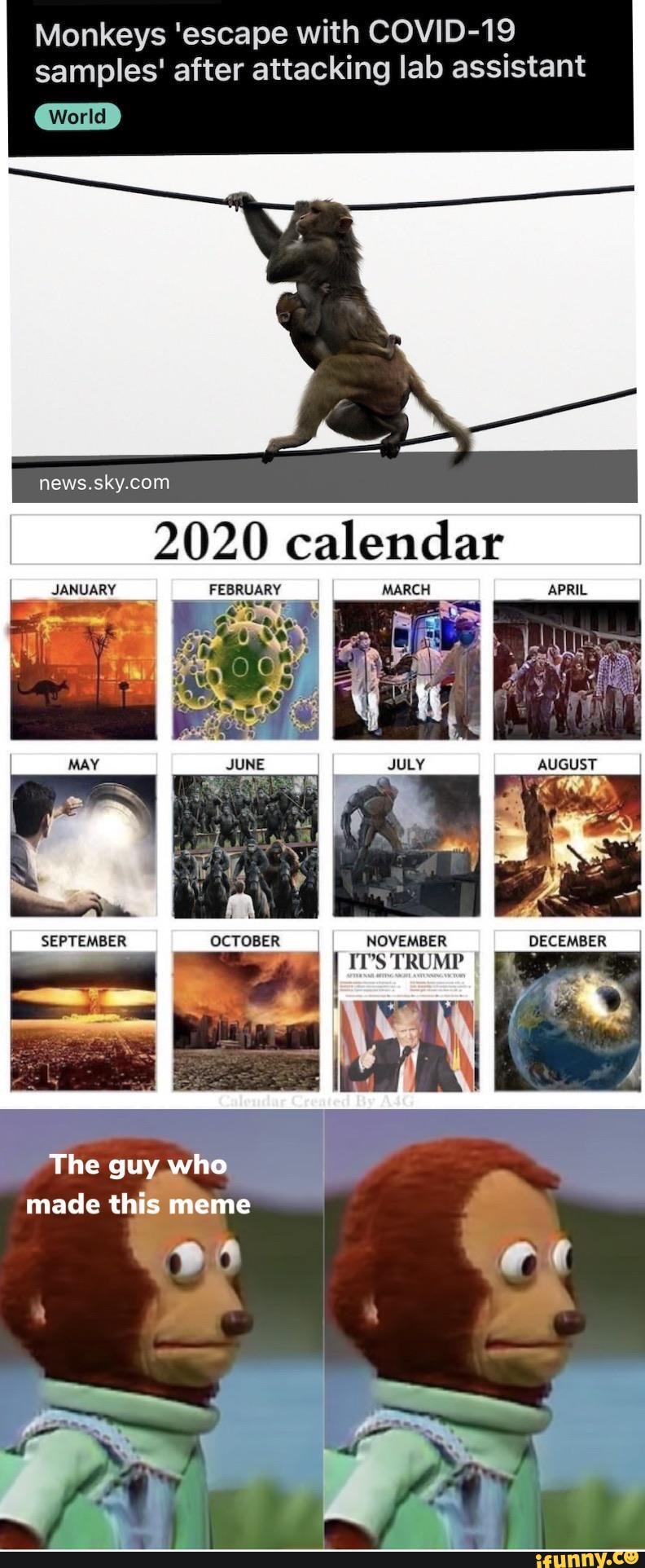 Monkeys 'escape with COVID-19 samples' after attacking lab assistant ...