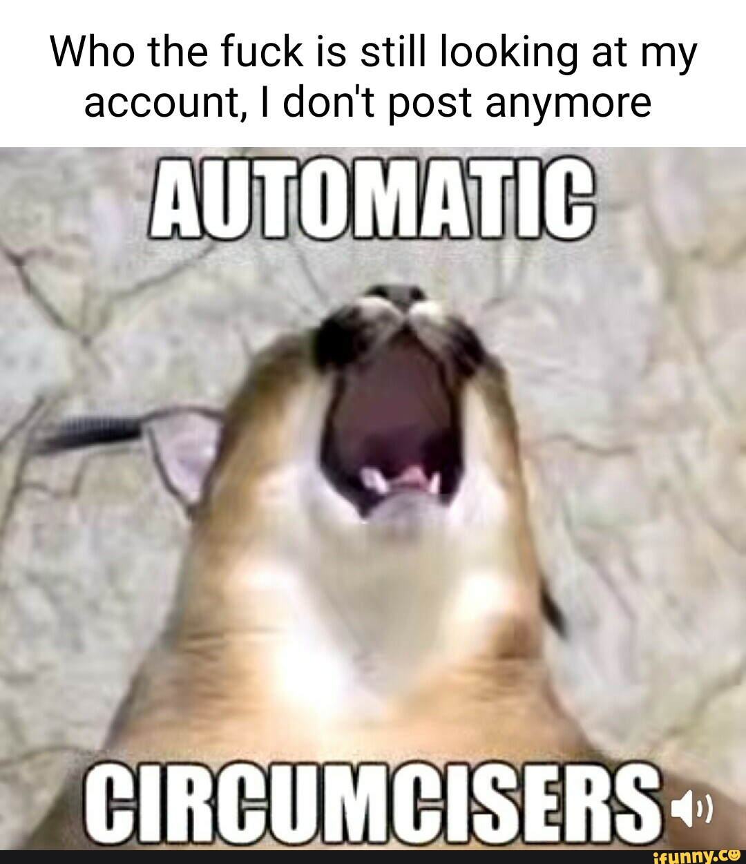 Circumcisers memes. Best Collection of funny Circumcisers pictures on ...