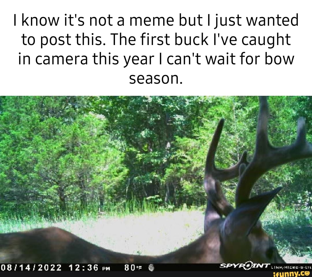 Bowhunter memes. Best Collection of funny Bowhunter pictures on iFunny