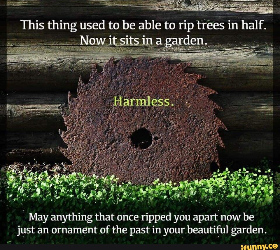 This thing used to be able to rip trees in half. Now it sits in a ...