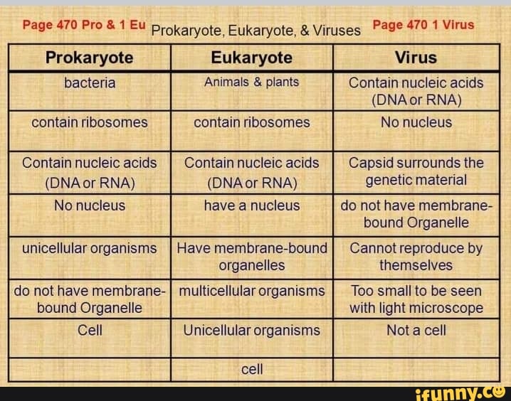 Prokaryote memes. Best Collection of funny Prokaryote pictures on iFunny