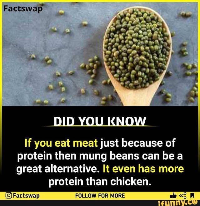 Mung memes. Best Collection of funny Mung pictures on iFunny