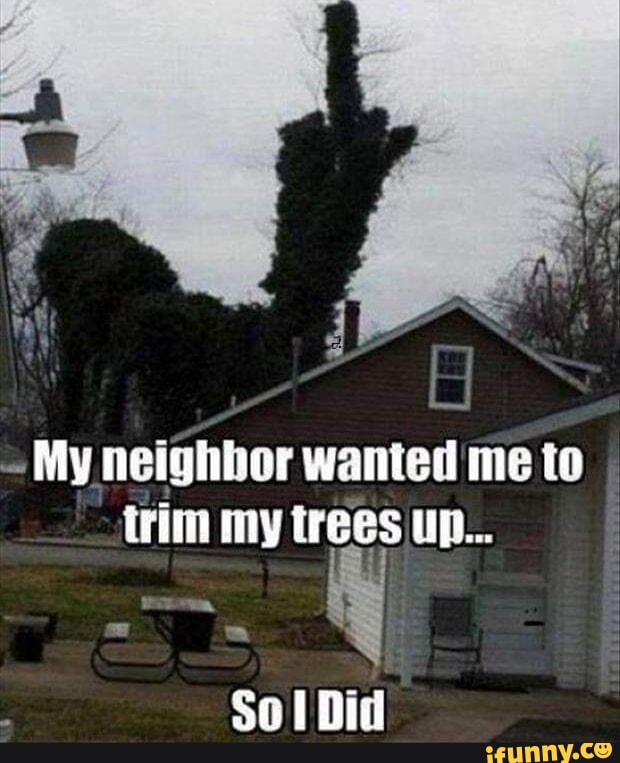 Trim memes. Best Collection of funny Trim pictures on iFunny