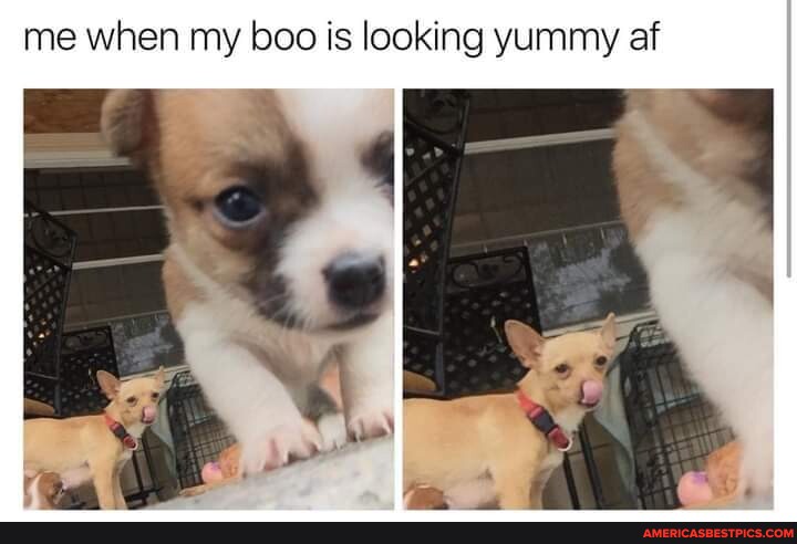 Me when my boo is looking yummy af - America’s best pics and videos