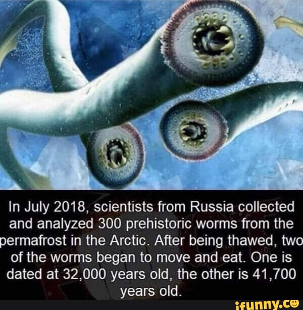 Permafrost memes. Best Collection of funny Permafrost pictures on iFunny