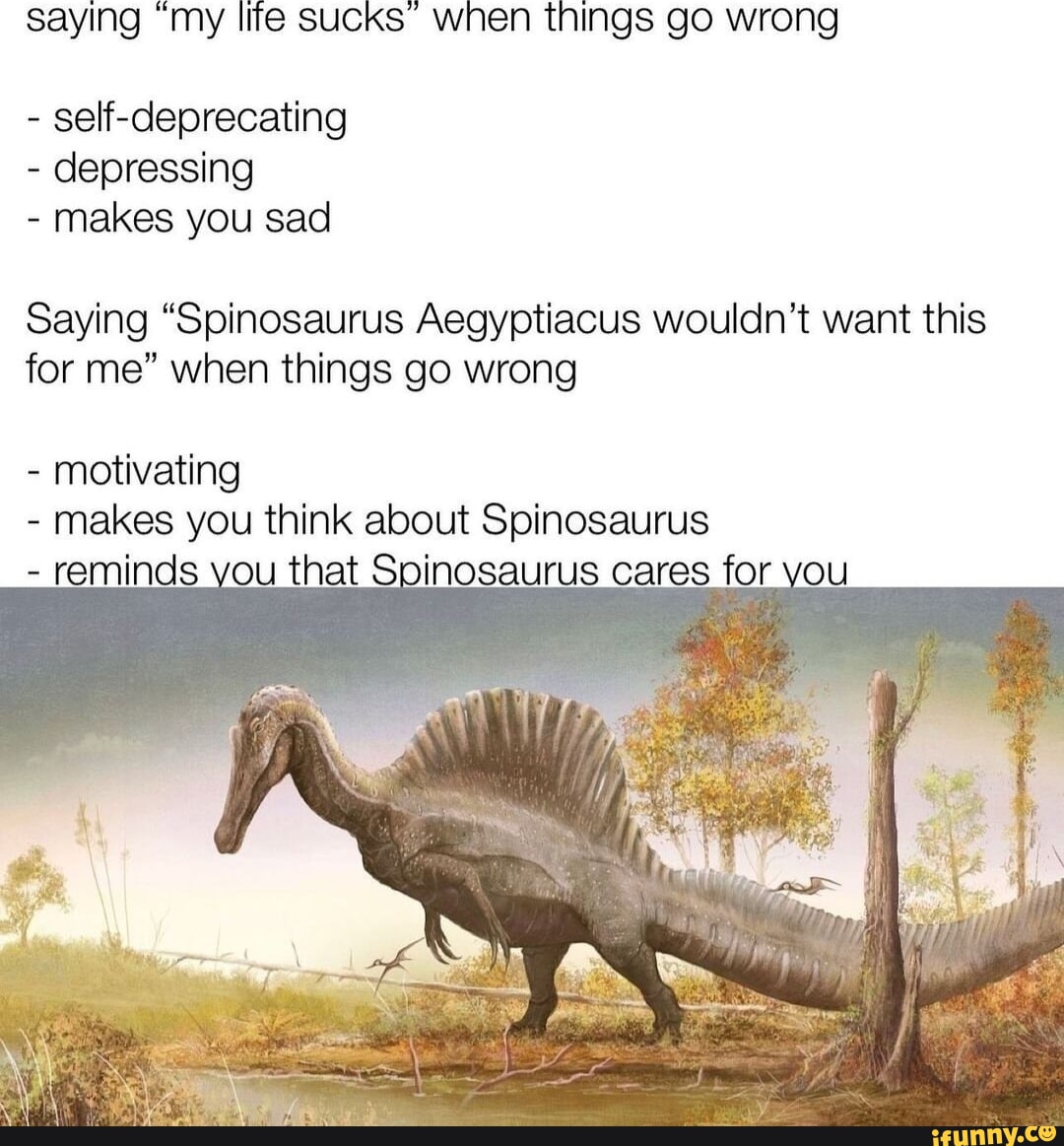 Spinosaurus memes. Best Collection of funny Spinosaurus pictures on iFunny