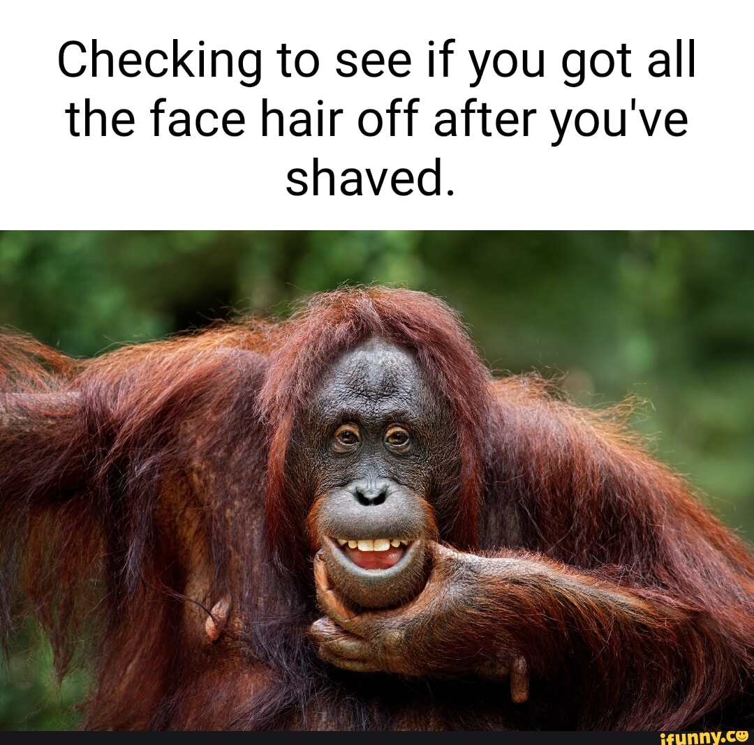 Shaved memes. Best Collection of funny Shaved pictures on iFunny