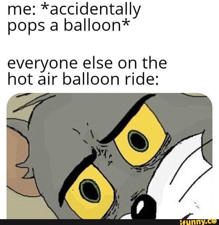 Me: *accidentally pops a balloon* every_one else on the hot air balloon ...